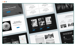 Spectra – Free WordPress Page Builder | WordPress Builder Plugin